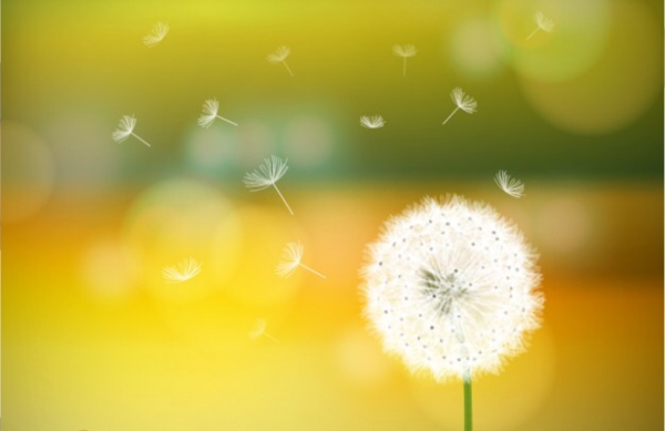 God Pleasing Faith | John Silkauskas